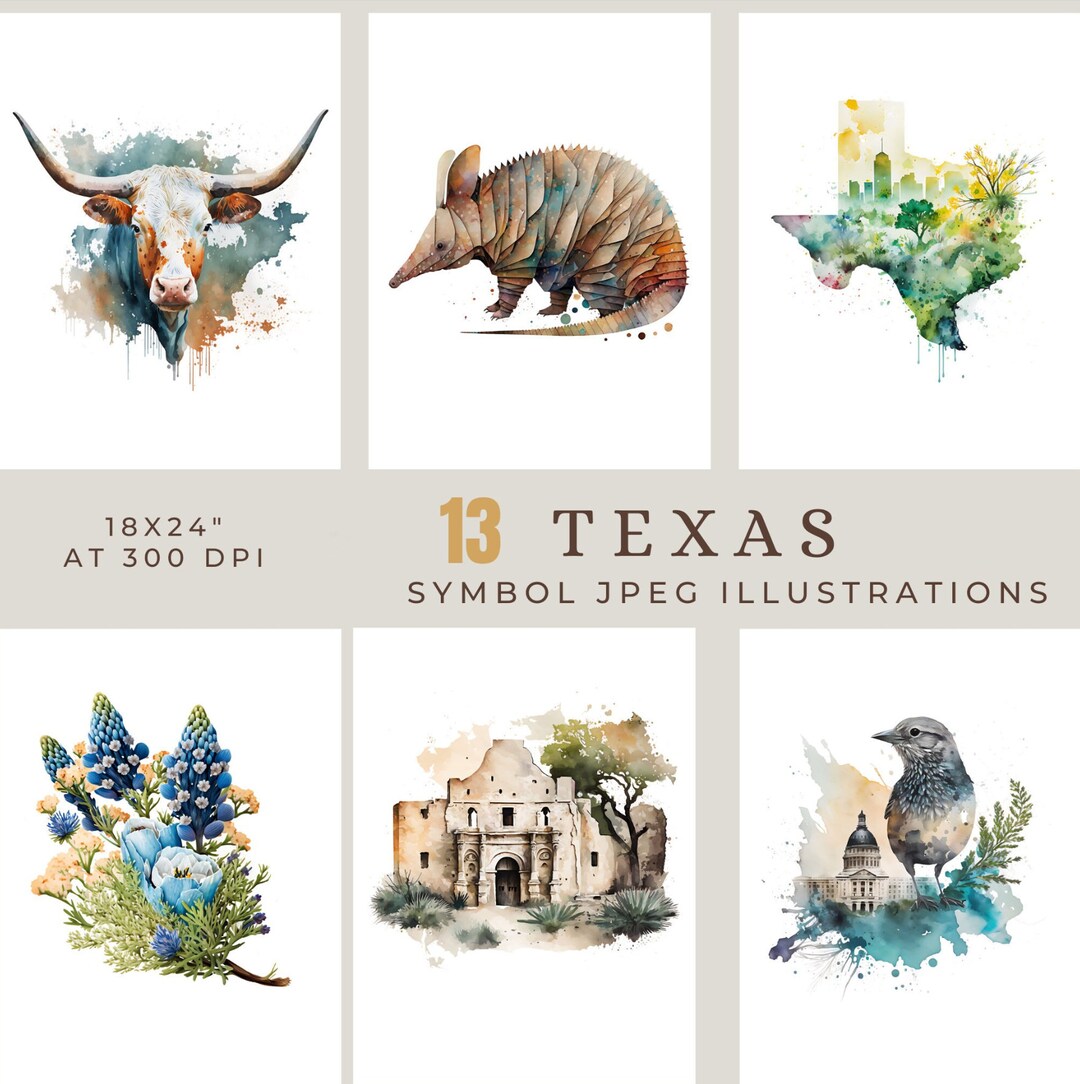 Texas Symbol Illustrations | 13 Jpeg Files - Etsy