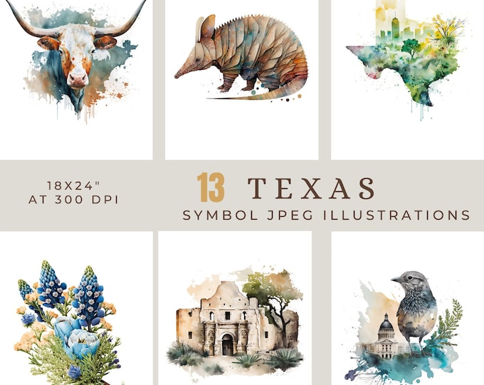 Texas Symbol Illustrations 13 Jpeg Files - Etsy
