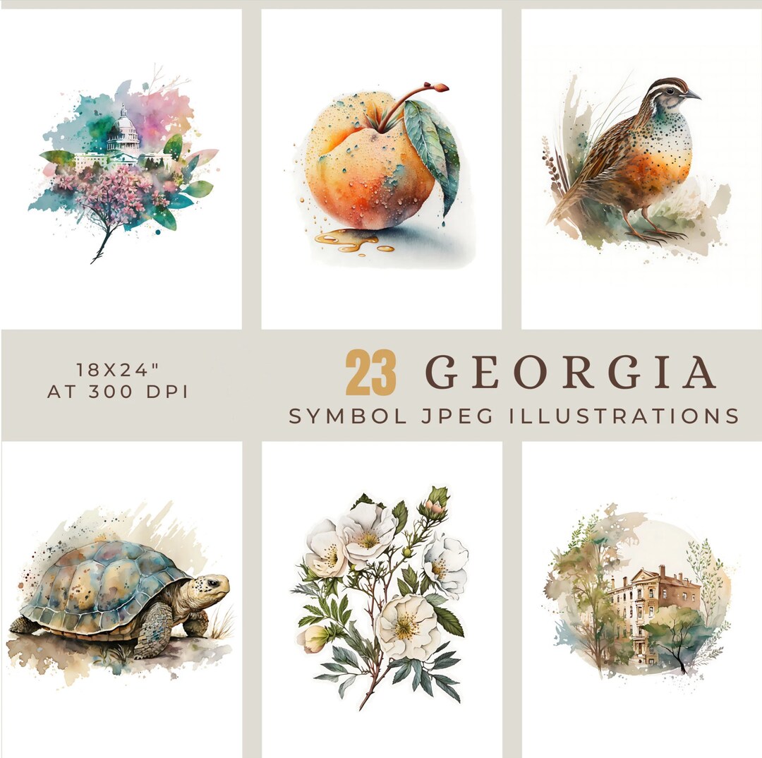 Georgia State Symbol Illustrations | 23 JPEG Files | Educational ...