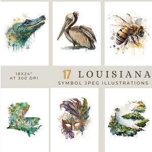 Louisiana Symbol Illustrations | 17 Jpeg Files - Etsy