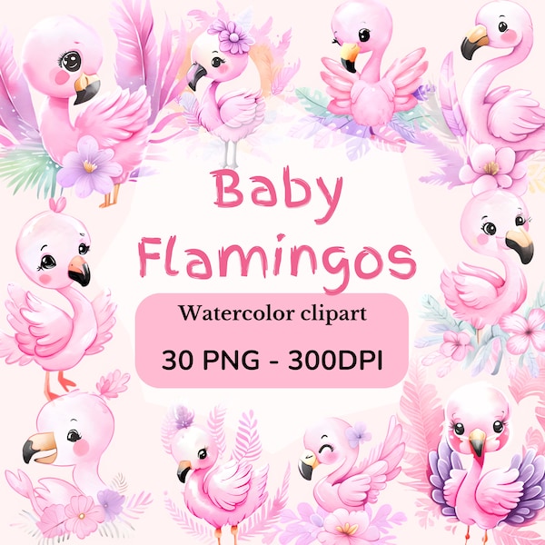 Flamingo Clipart - Etsy