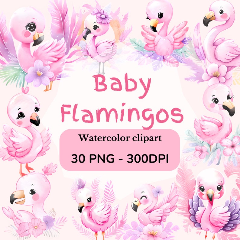 30 PNG Watercolor Baby Flamingo Clipart Bundle, 300DPI, Pink, Adorable ...