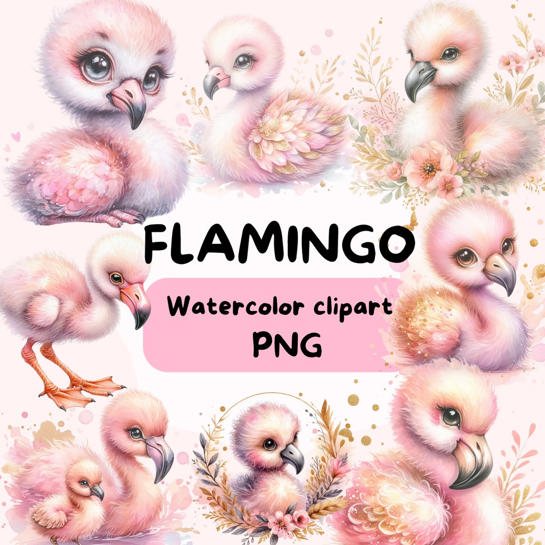 Watercolor Baby Flamingo Clipart Bundle, Flamingo PNG, Pink, Gold ...