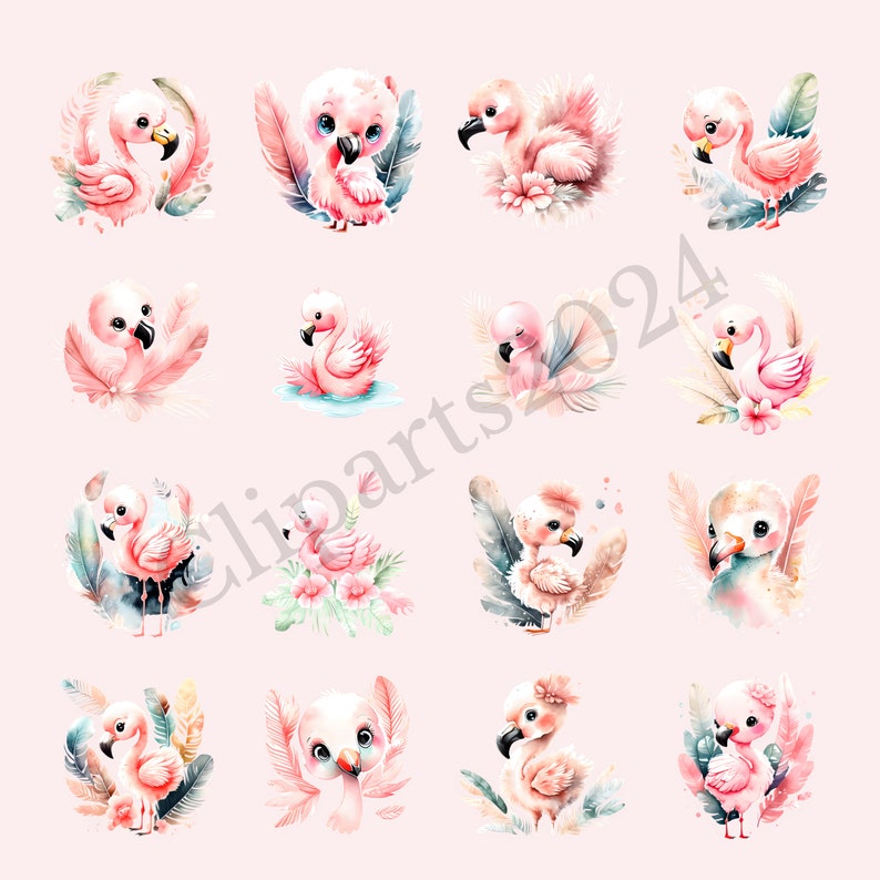 Watercolor Baby Flamingo Clipart Bundle, 40 PNG, 300DPI, Pink Bird ...