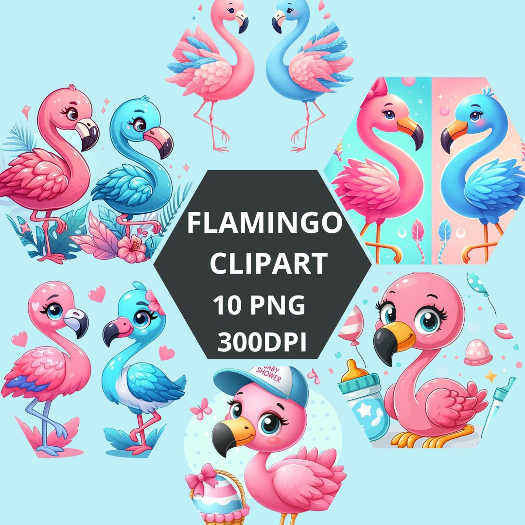 Flamingo Clipart, 10 PNG 300 DPI, Pink Bird, Baby Shower, Blue, Baby ...