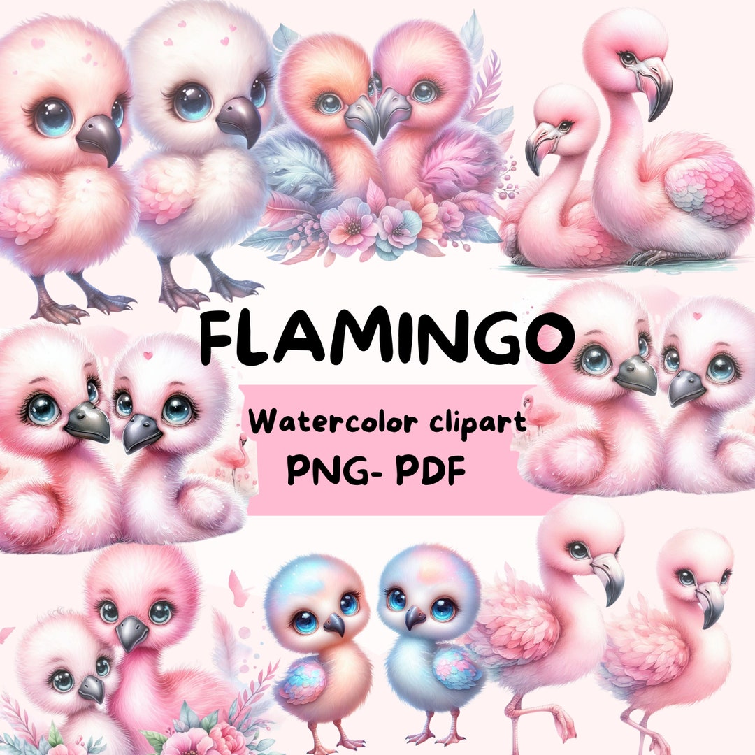 Baby Flamingo Clipart, PNG, Watercolor Flamingo Baby, PDF, Cute ...