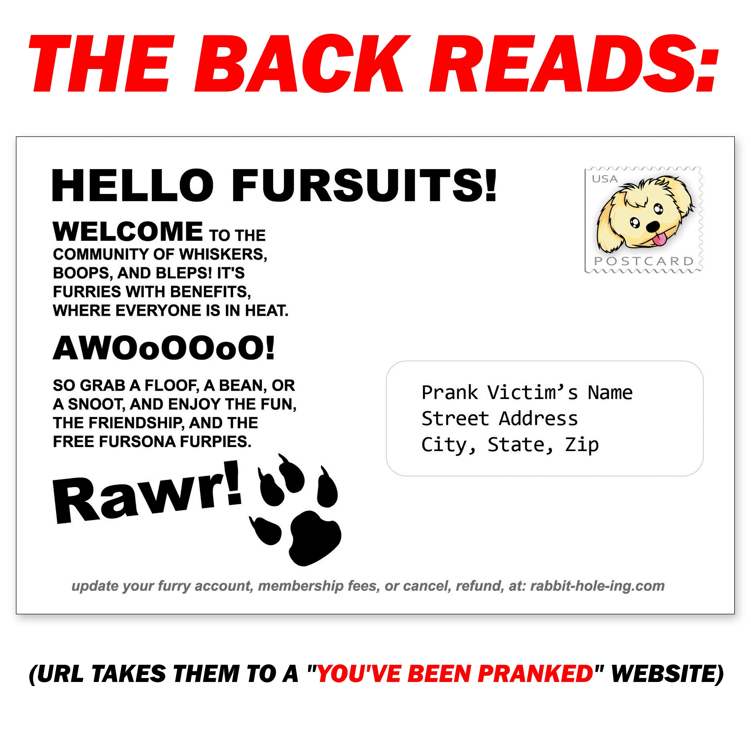 Postcard Prank Sent 100% Anonymous Furries With Benefits Mailed ...