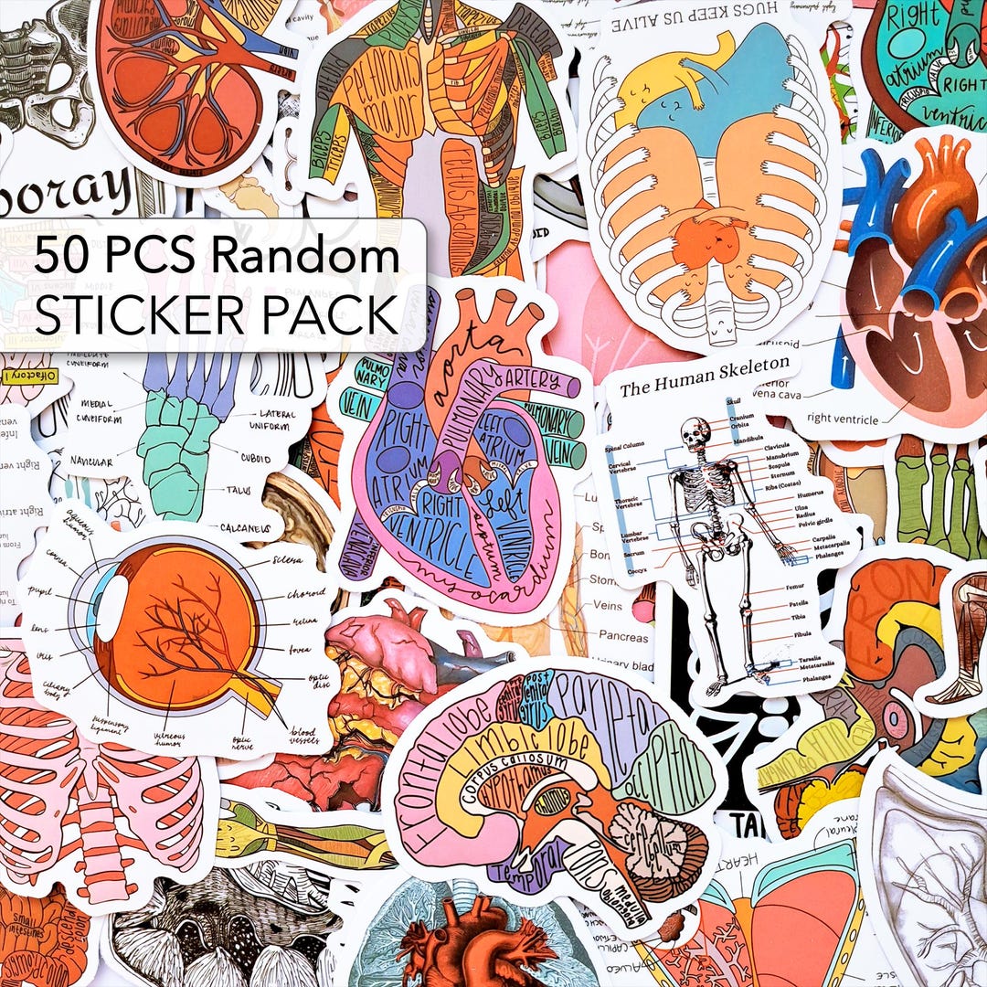 50 PCS Science Anatomy Sticker Pack, Medical Anatomy Stickers, Human ...