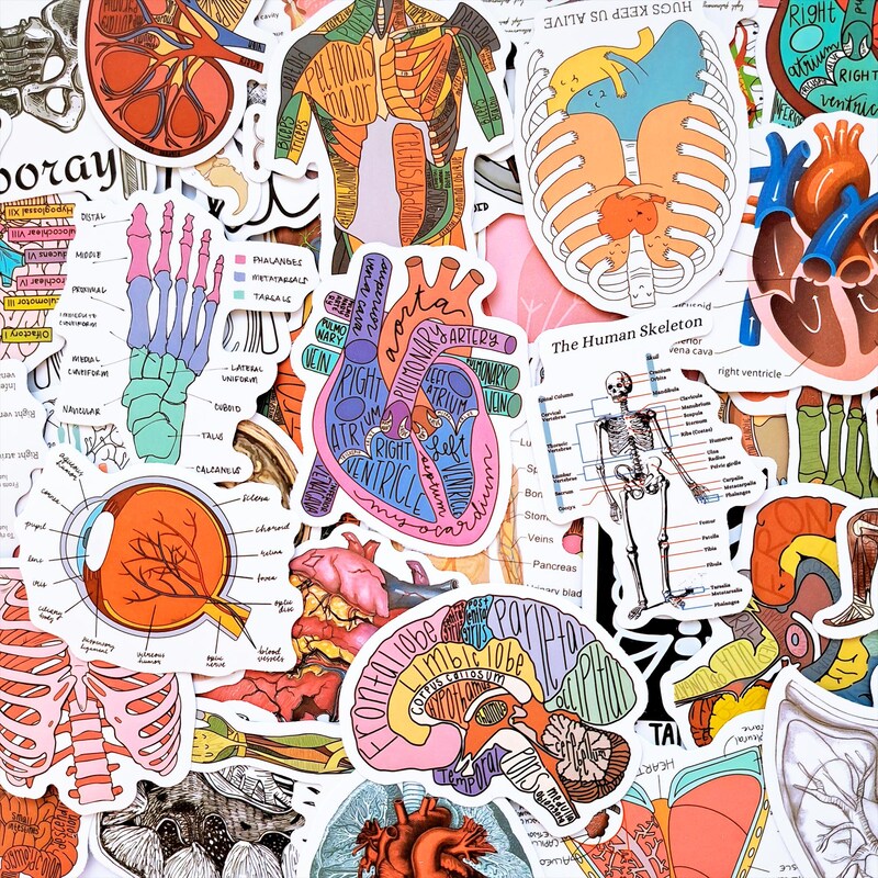 Biome Stickers - Etsy UK