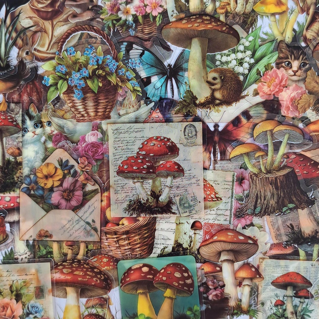 Vintage Mushroom Sticker Pack – Fairycore Transparent Forest ...