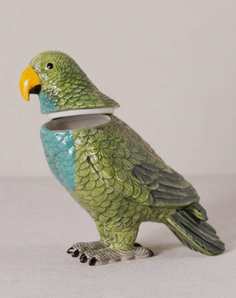 Parrot Jar Ceramic Unique Decor - Etsy