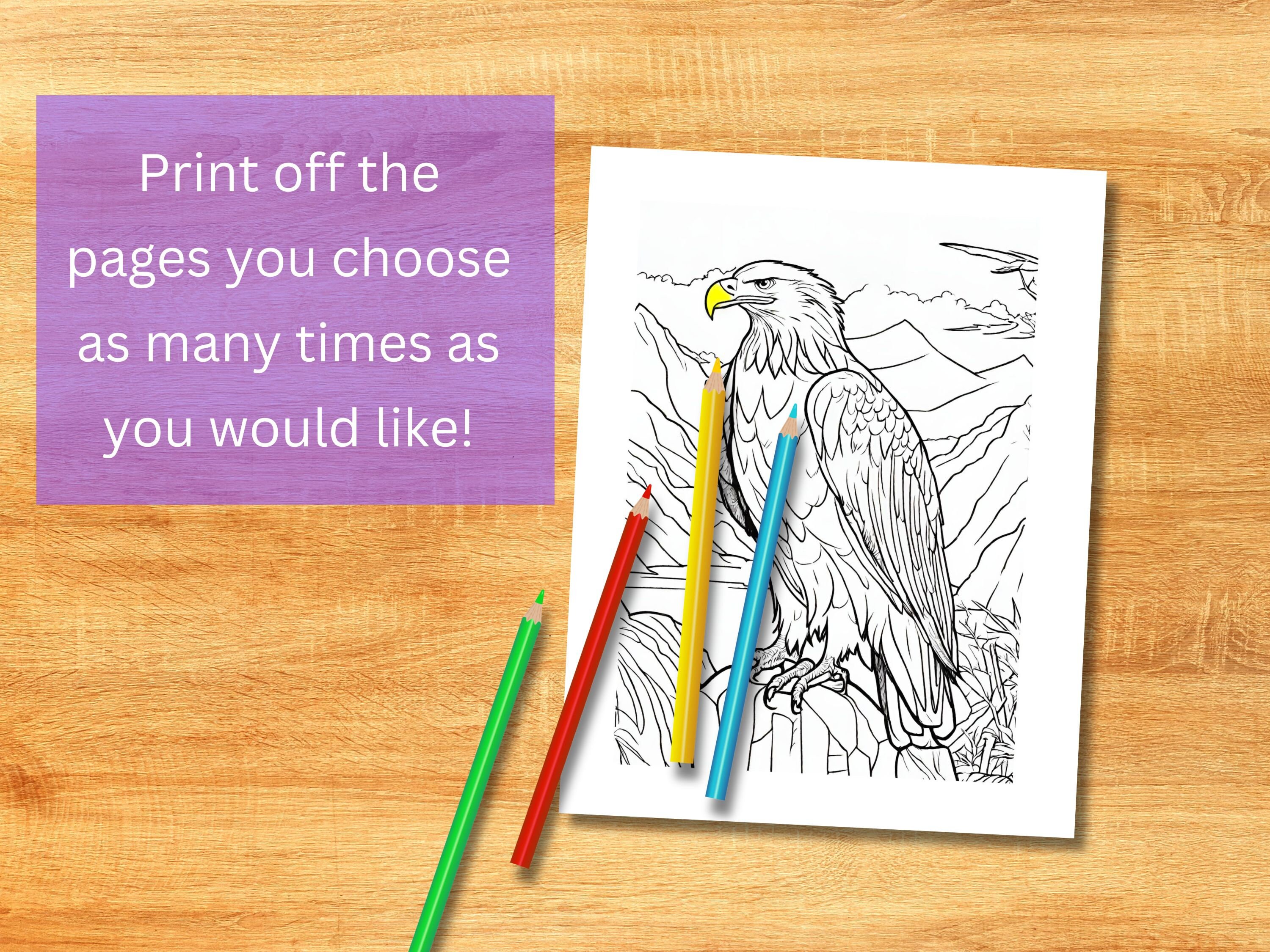 National Park Wildlife Coloring Pages, Printable Coloring Book, Fun ...