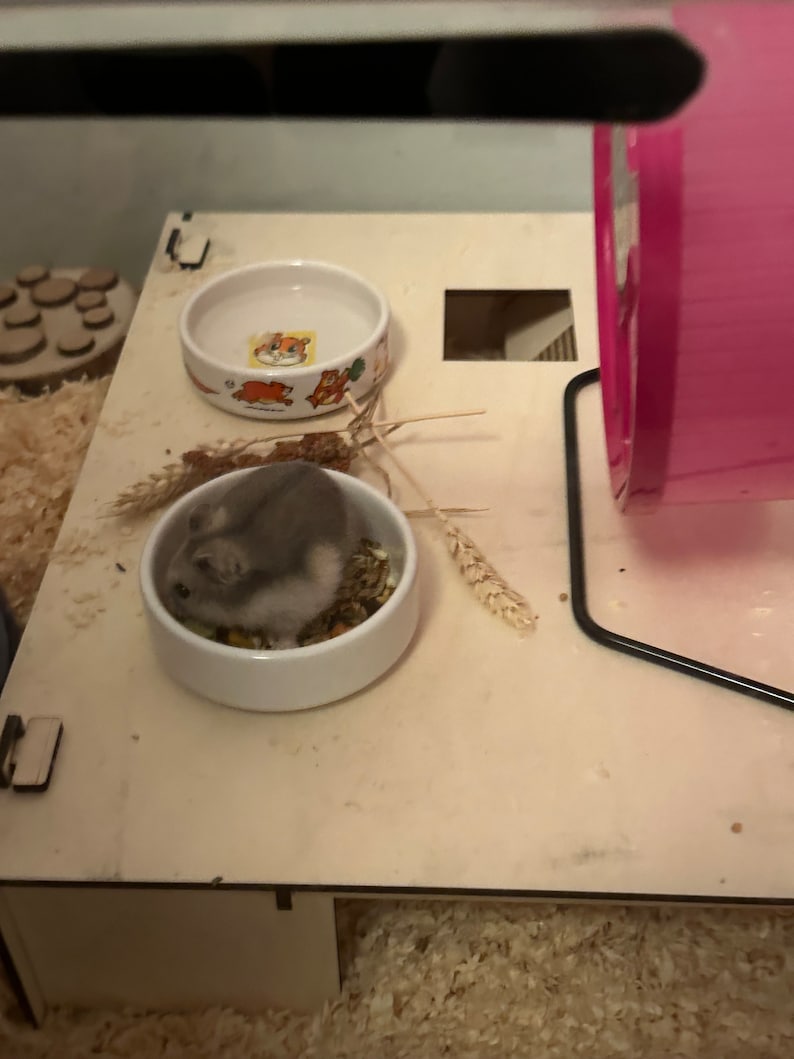 Hamster Multi Chamber House - Etsy