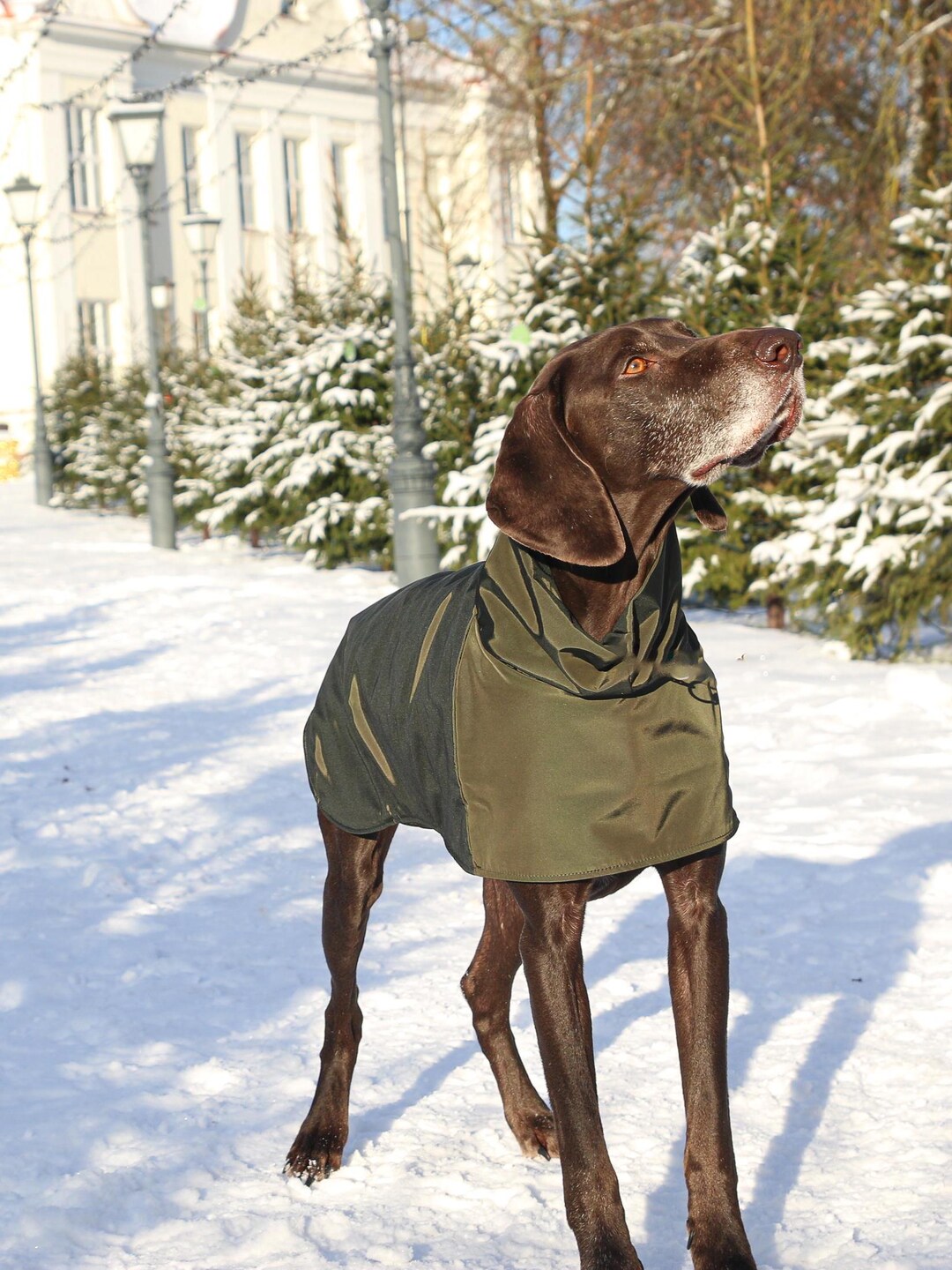 Warm and Waterproof Dog Jacket. Easy to Put On. Chaki Jacket for Large ...