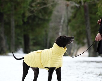 Pet Jackets & Hoodies - Etsy