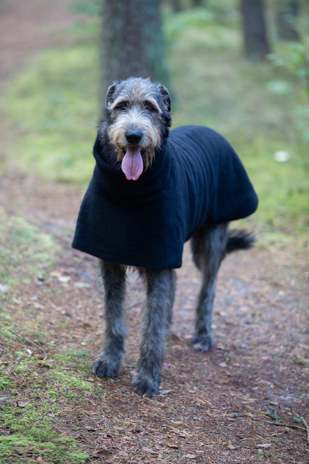 Handmade Dog Coat: Large Breeds, Winter Warmth. Woll. - Etsy UK