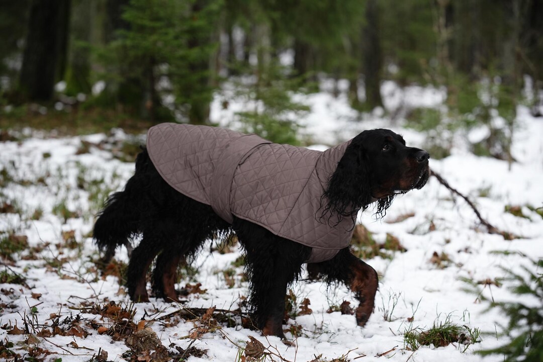 Stylish Brown Tweed Dog Jacket. Extra Large Dog Coat. - Etsy
