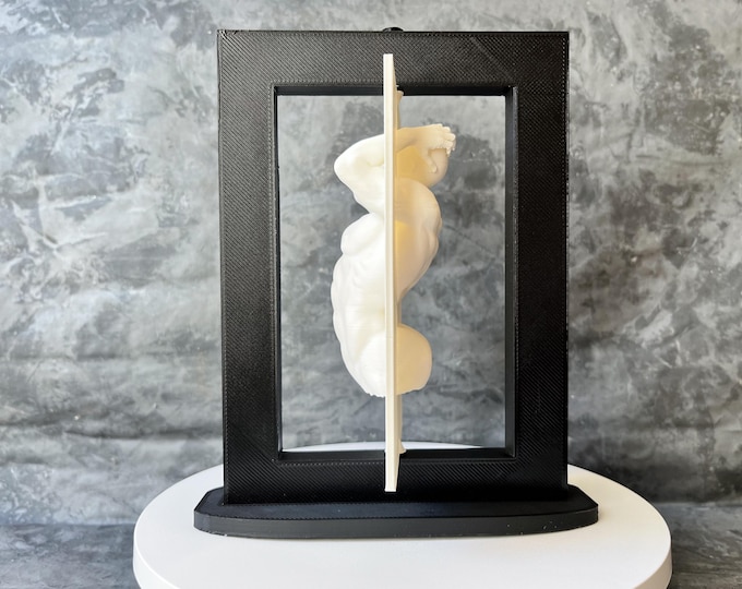 Male Torso, Body Finish Table Decor, Framed Table Art, Expression | 3D ...