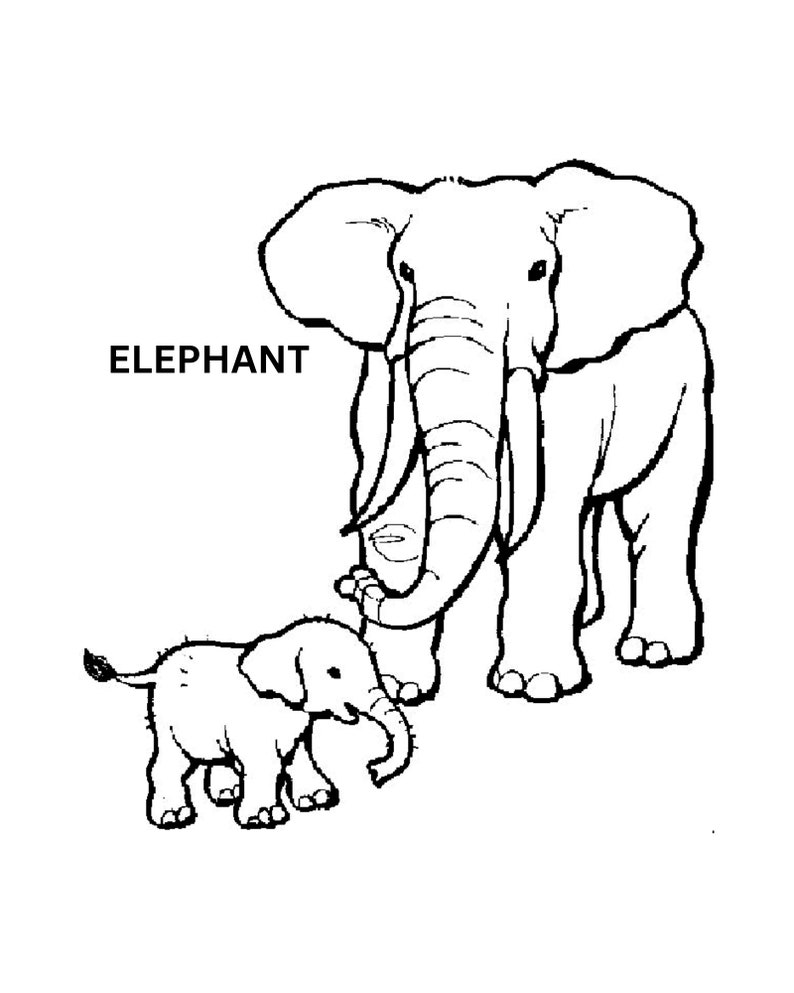 Animal Activity Workbook Word Search Coloring Pages and Scavenger Hunt ...
