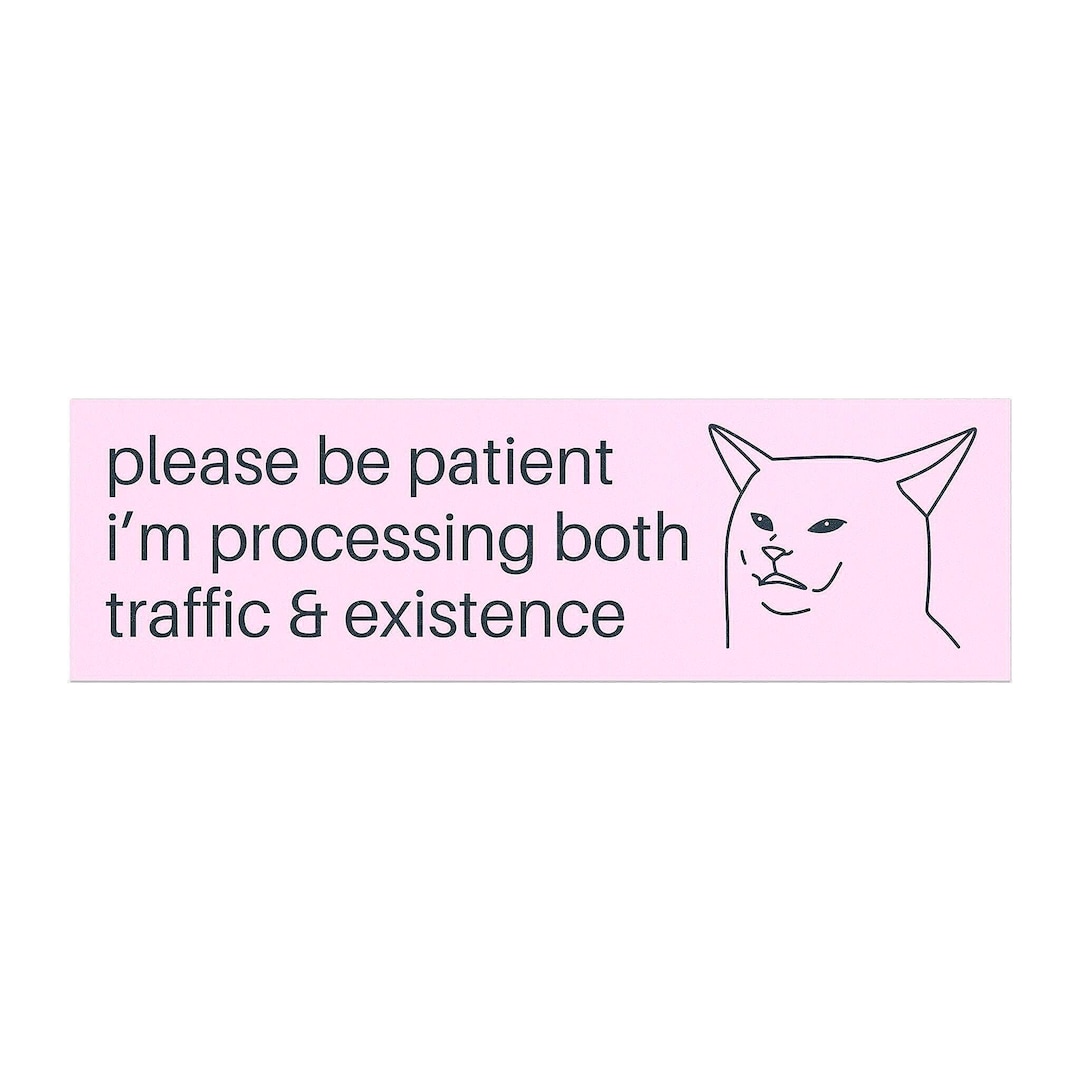 Existential Cat Meme Magnetic Bumper Sticker, Funny Mental Health Gift ...