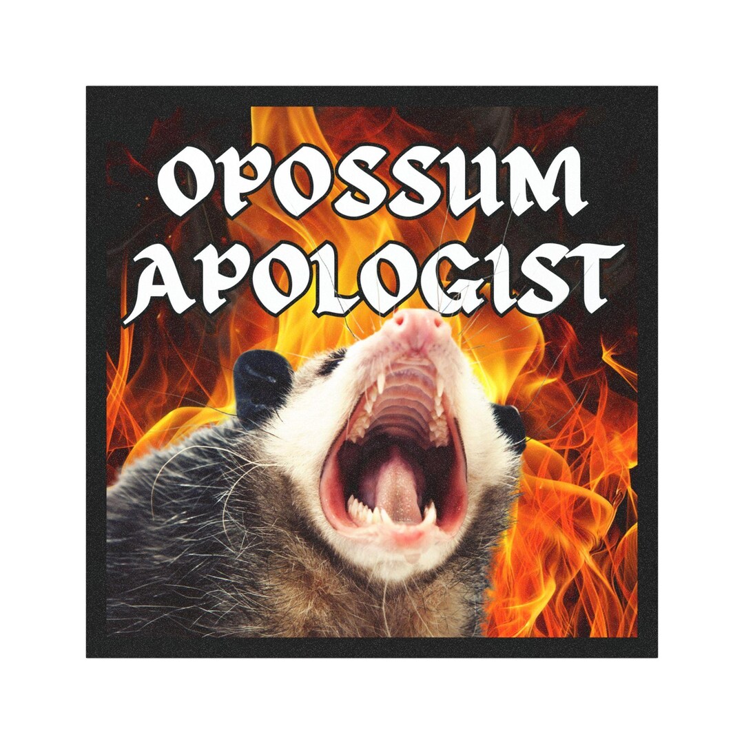 Opossum Meme Funny Magnetic Bumper Sticker, Weird Car Magnets Gen Z ...