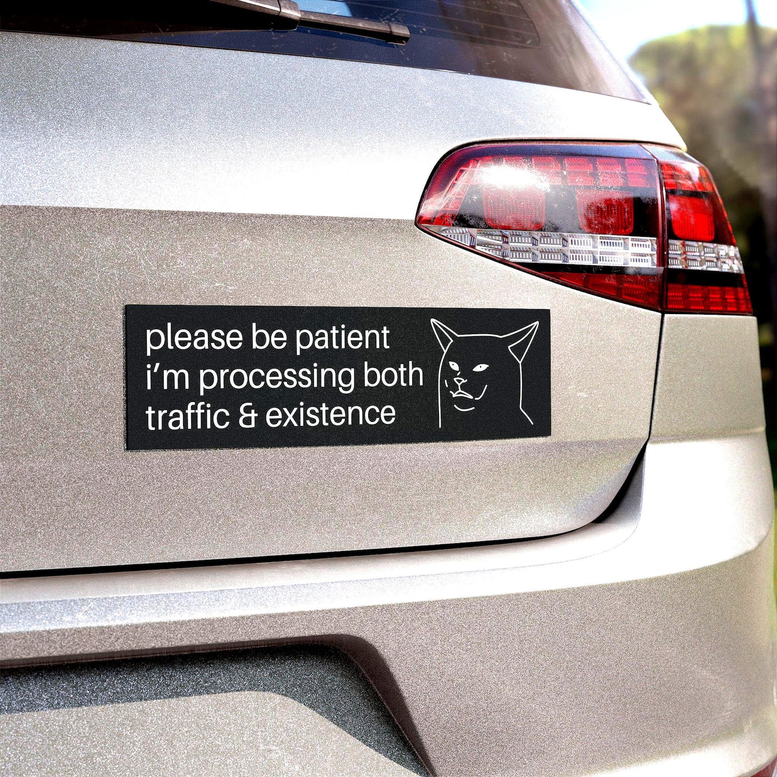 Please Be Patient Funny Magnetic Bumper Sticker, Anxiety Meme Cat Car ...