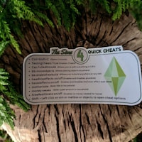 Printable Sims Character Sheet. Unfold Your Character and Their ...