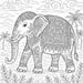 Wonders of India: A Cultural Journey – 27-page Printable Adult Coloring ...