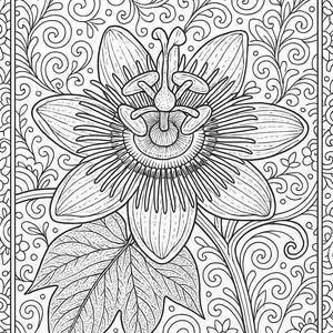 Exotic Blooms Coloring Book | 12 Printable Floral Pages | Botanical ...