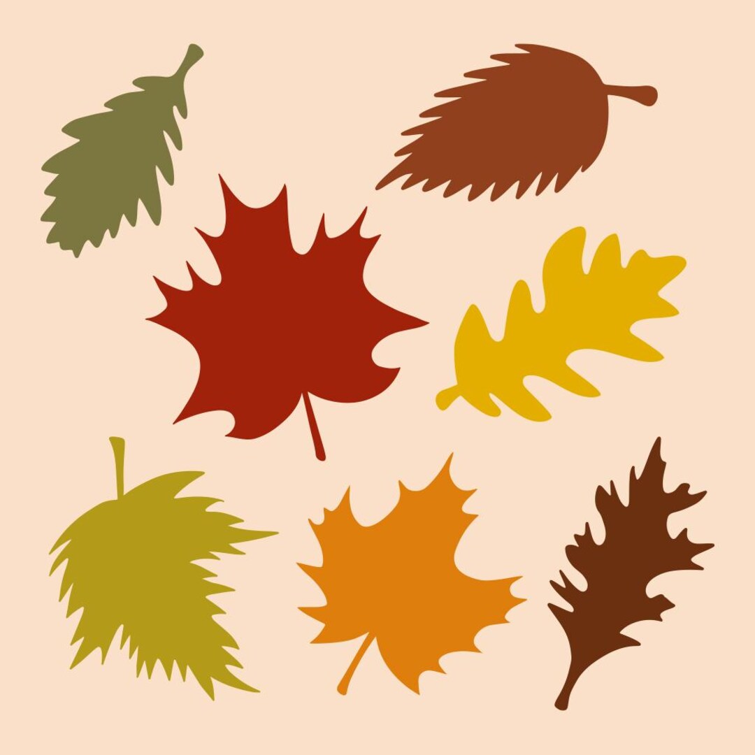Fall Leaves Svg, Fall Svg, Fall Leaf Svg Bundle, Fall Png, Clipart, Cut ...