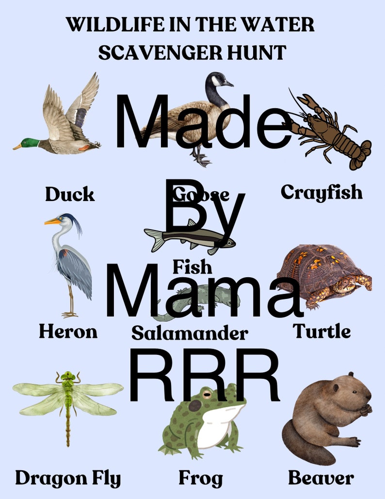 Wildlife in the Water Scavenger Hunt - Etsy