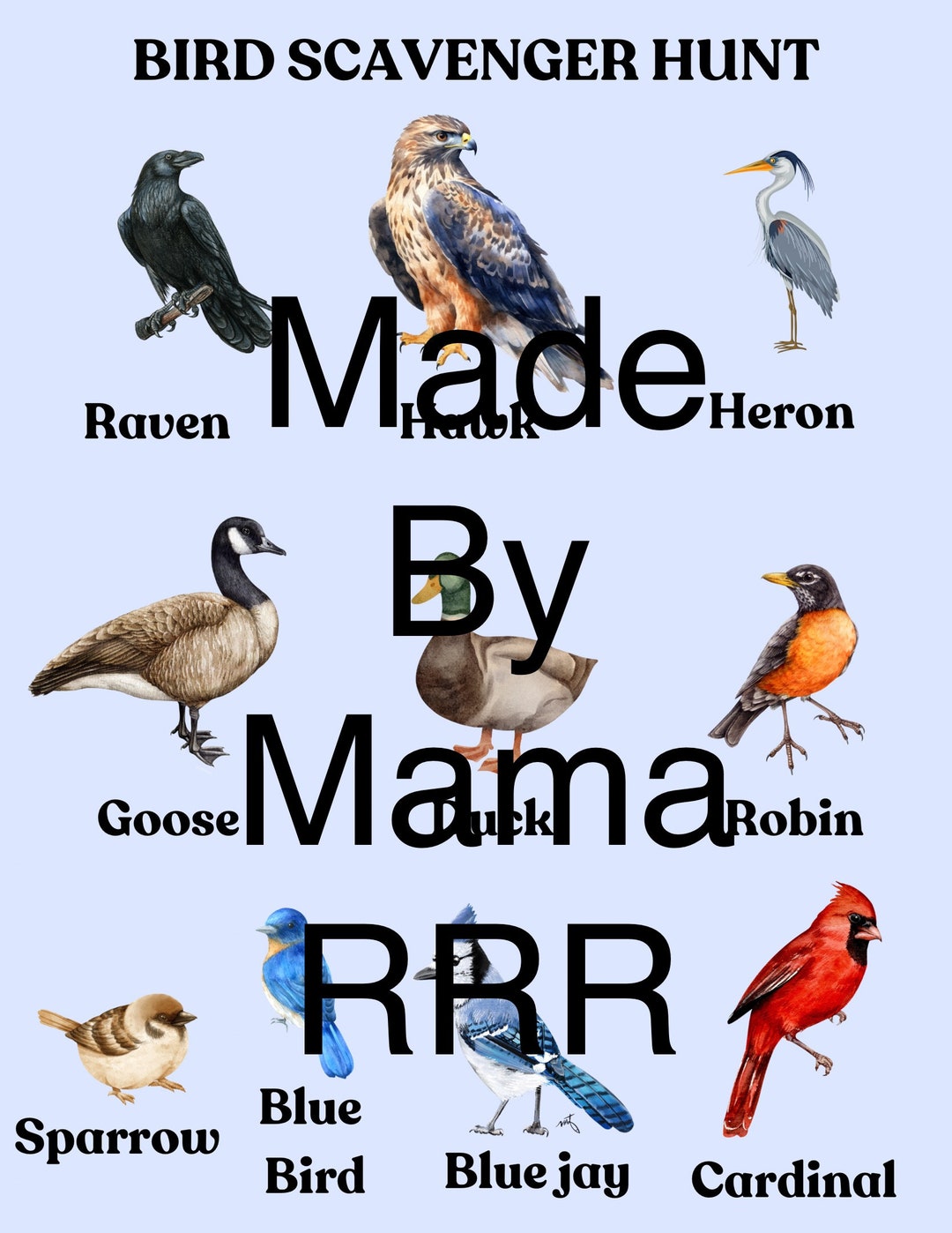 Bird Scavenger Hunt - Etsy