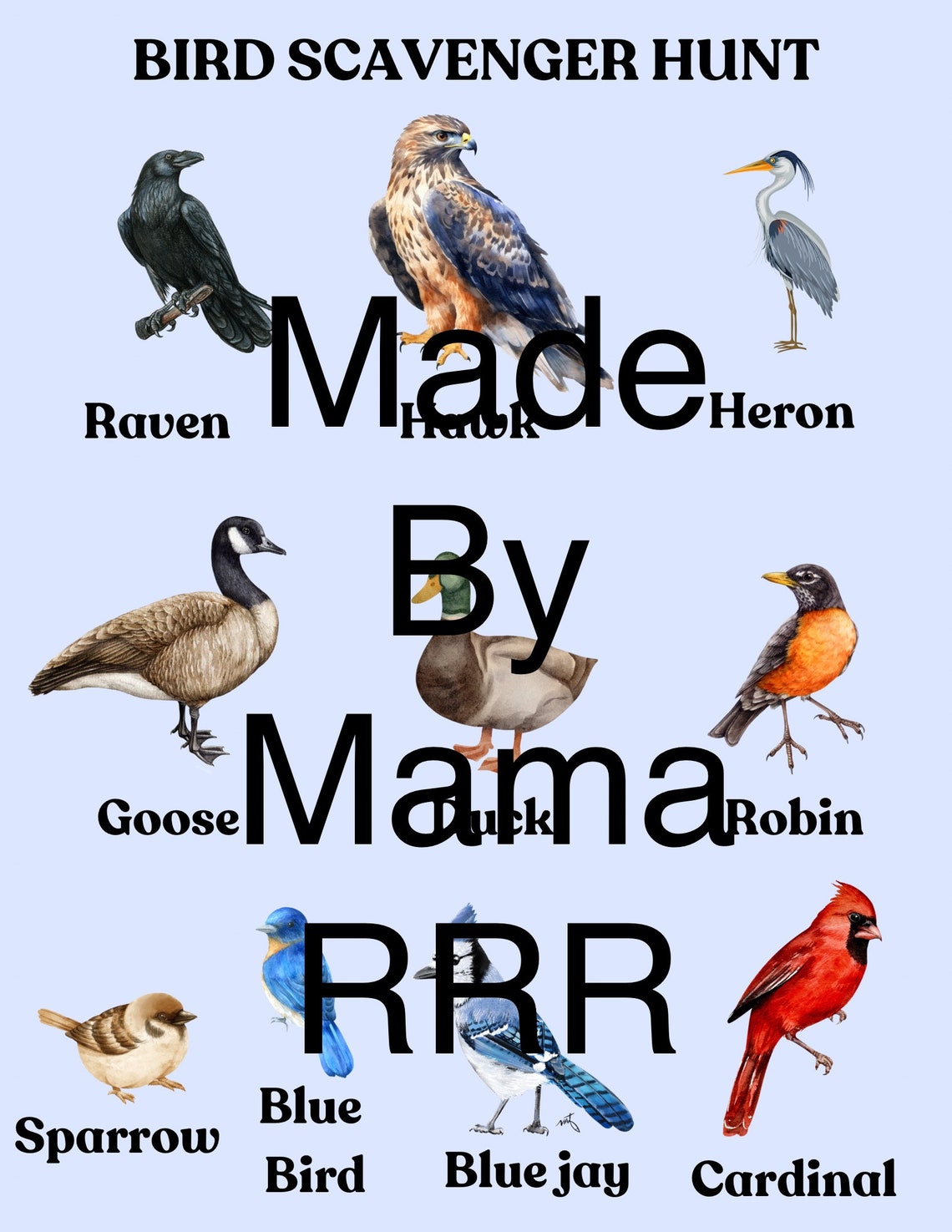Bird Scavenger Hunt - Etsy