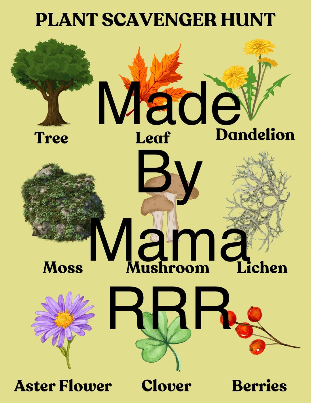 Plant Scavenger Hunt - Etsy
