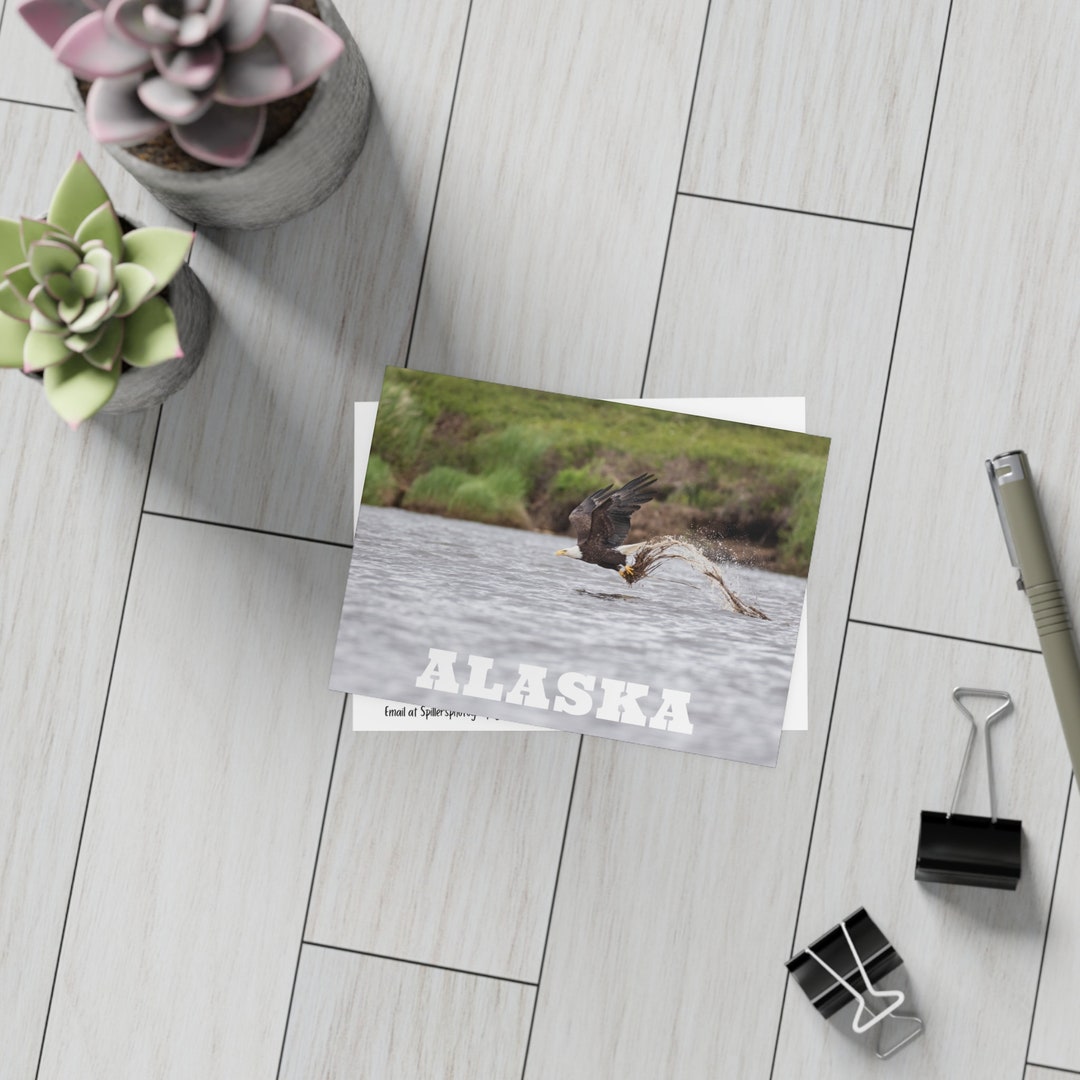 Alaskan Eagle Postcard Bundles envelopes Not Included, Alaska Postcard ...