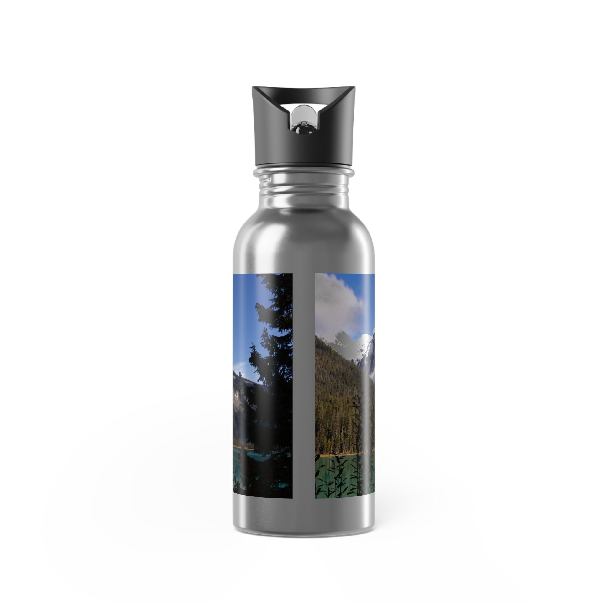 Emerald Lake Stainless Steel Water Bottle With Straw, 20oz, Gift for ...