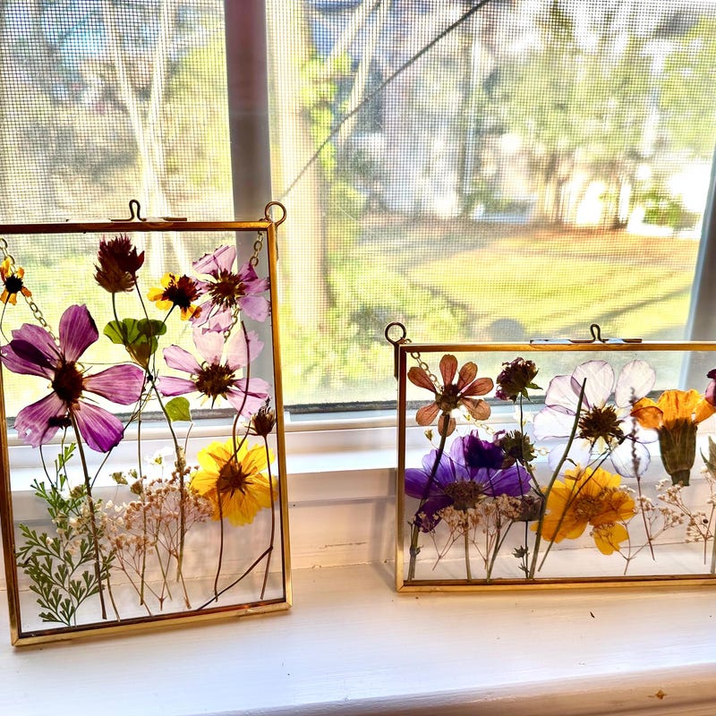 Herbarium Frame - Etsy