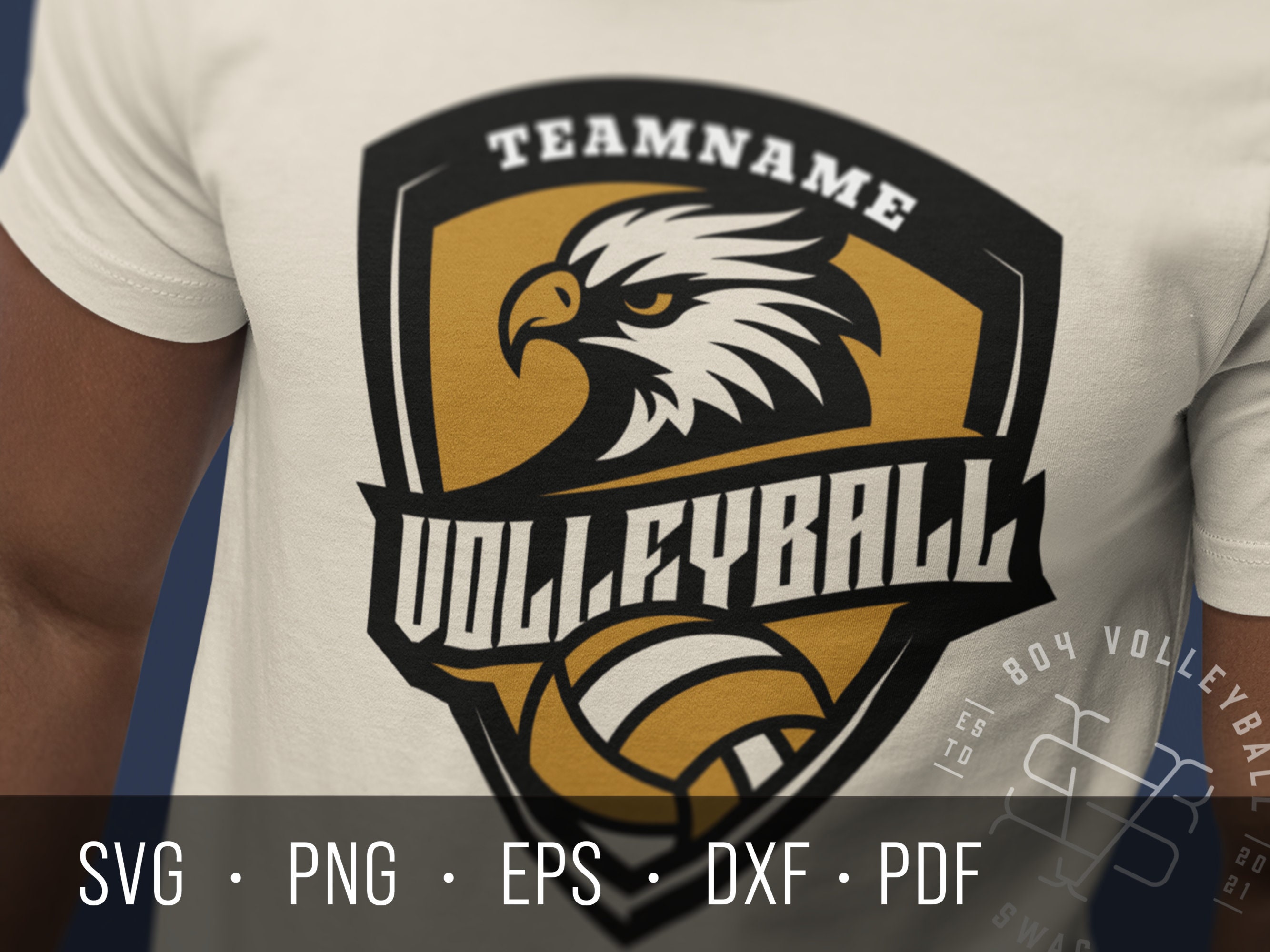 Volleyball Team Name Badge With Bird Mascot Customizable Mascot Team ...