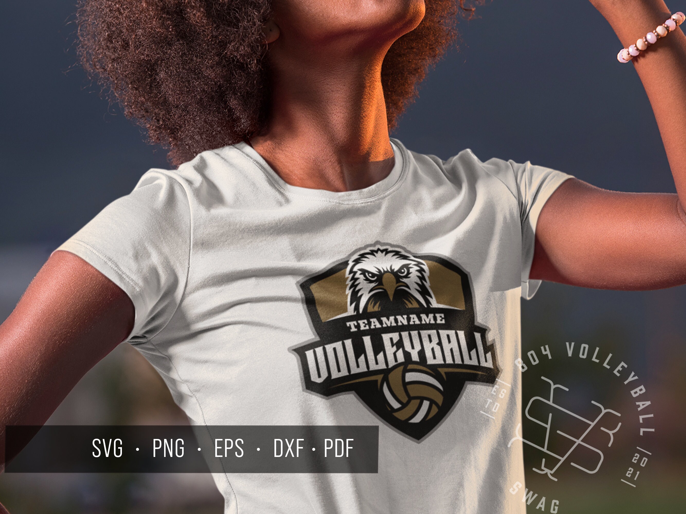 Volleyball Team Name Badge With Eagle Mascot Customizable Mascot Vector ...