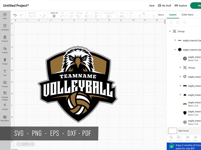 Volleyball Team Name Badge With Eagle Mascot Customizable Mascot Vector ...