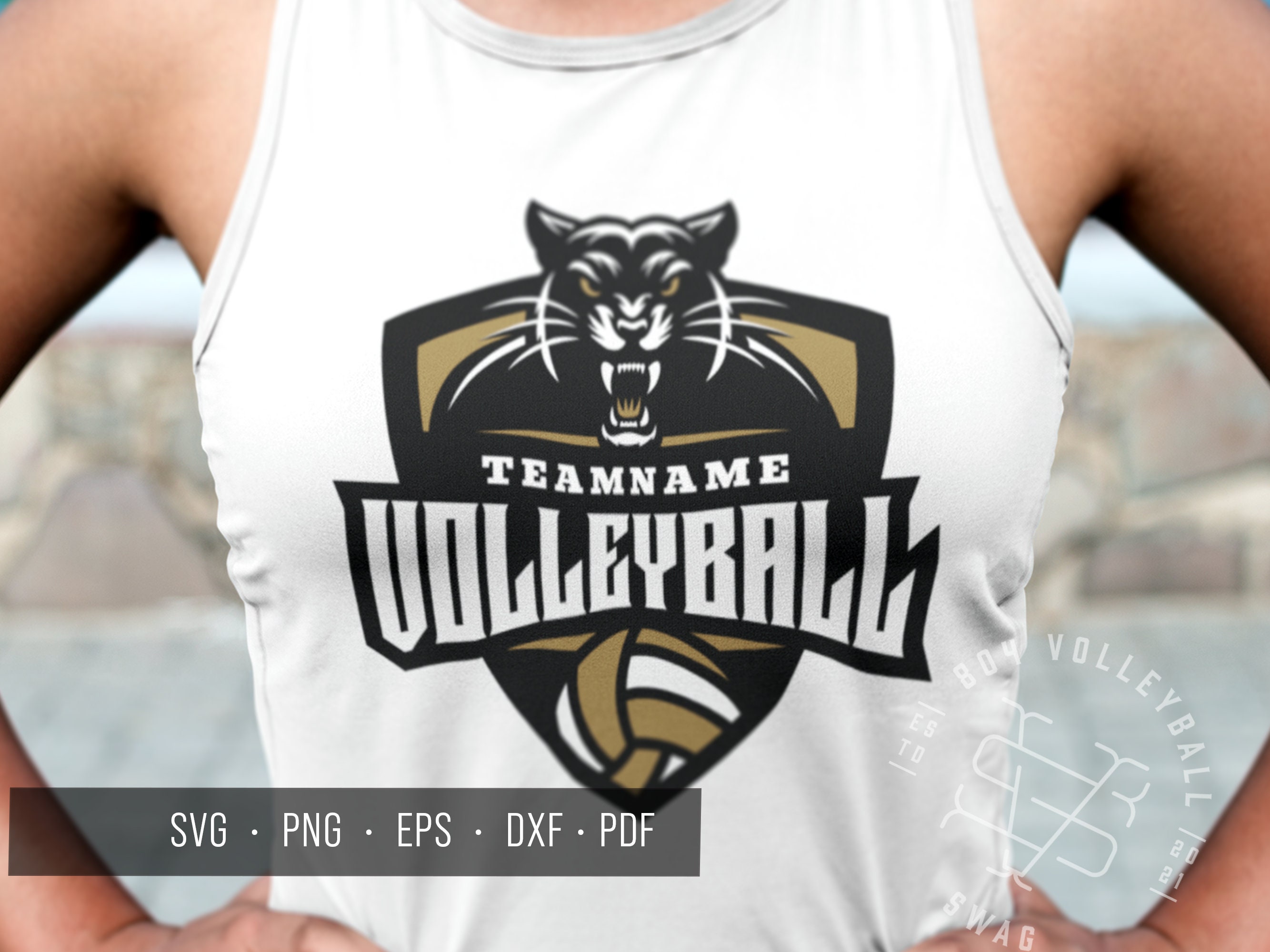 Volleyball Team Name Badge With Panther Mascot Customizable Mascot ...