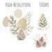 Watercolor Pine Cone Clipart Set, Autumn PNG Graphics (commercial Use ...