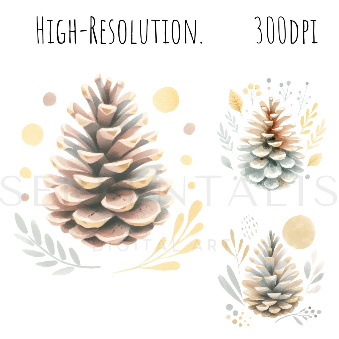 Watercolor Pine Cone Clipart Set, Autumn PNG Graphics (commercial Use ...