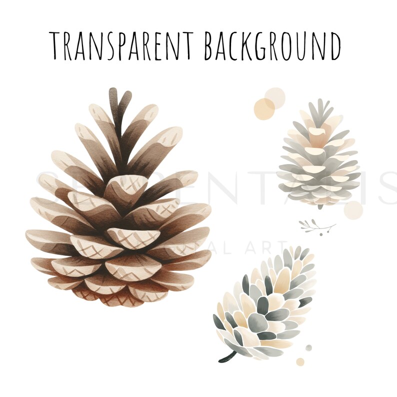 Watercolor Pine Cone Clipart Set, Autumn PNG Graphics (commercial Use ...