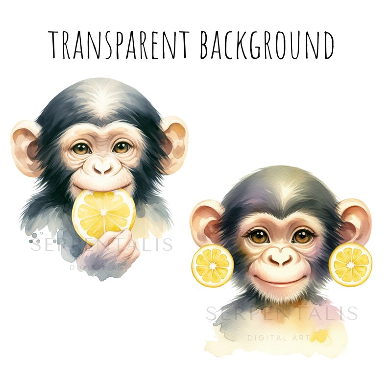 Watercolor Chimpanzee Lemon Clipart, Monkey PNG Set (digital Download ...