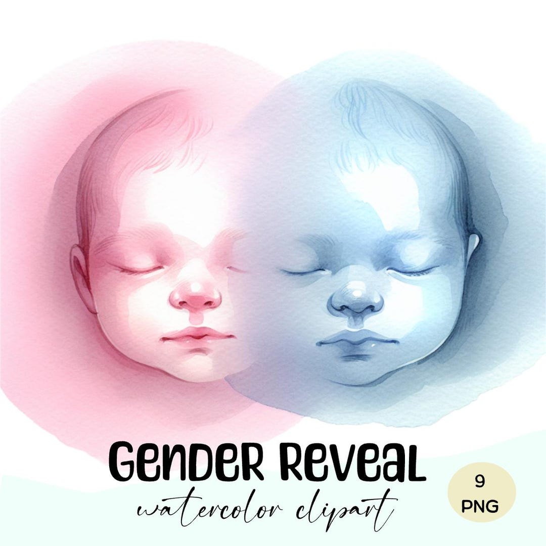 Gender Reveal Clipart Baby Shower PNG,9 Watercolor Baby Illustrations ...