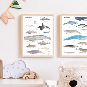 Set of 2 Prints, Watercolor Whale Poster, Ocean Wall Art, Marine ...