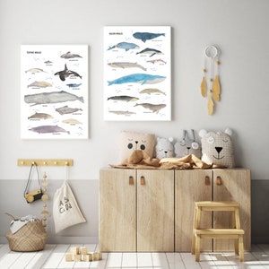 Set of 2 Prints, Watercolor Whale Poster, Ocean Wall Art, Marine ...