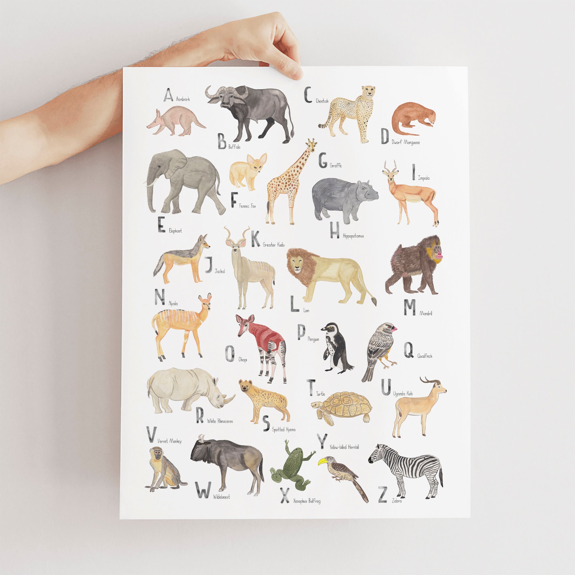 Safari Nursery Decor, Safari Alphabet, Animal Alphabet Poster ...