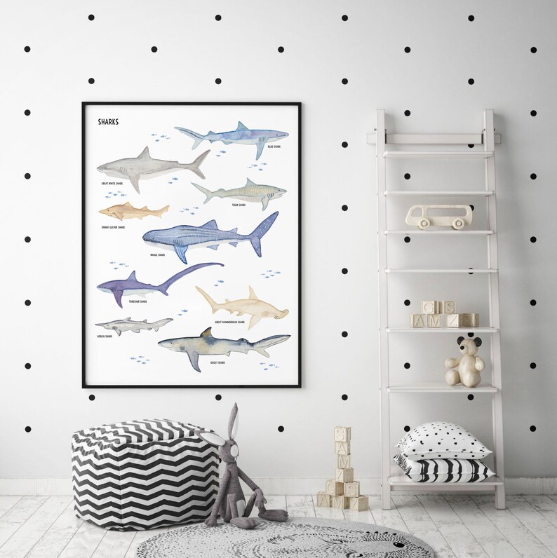 Shark Nursery Print, Sharks Wall Art, Educational Printable, Shark ...